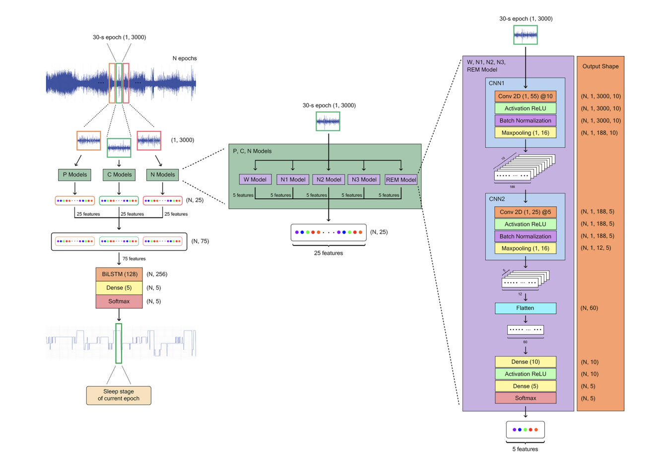 Meet ZleepAnlystNet: A Novel Deep Learning Model for Automatic Sleep ...